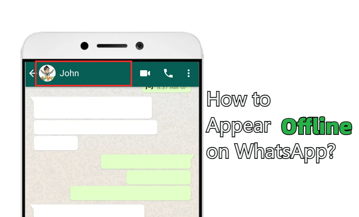 How to Appear Offline on WhatsApp Android/iOS